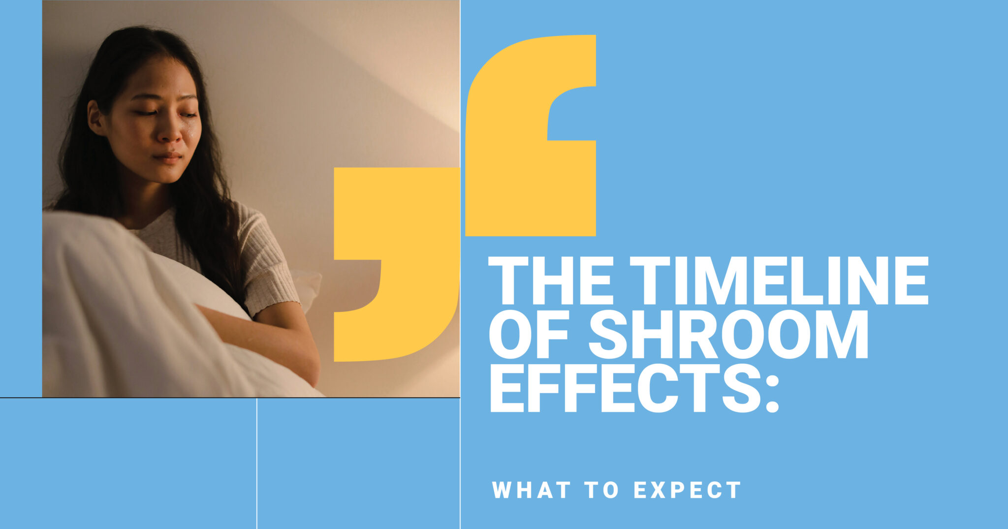 Shroom Effects Timeline: Onset, Peak, and Duration